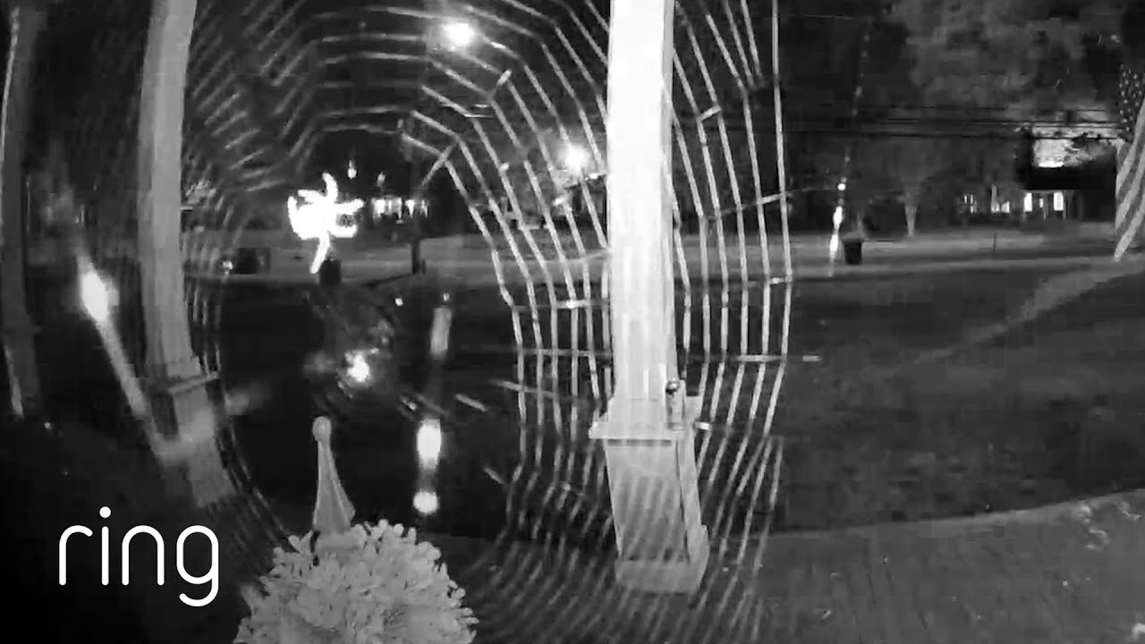 Look at the Size of This Spiderweb! | RingTV - YouTube