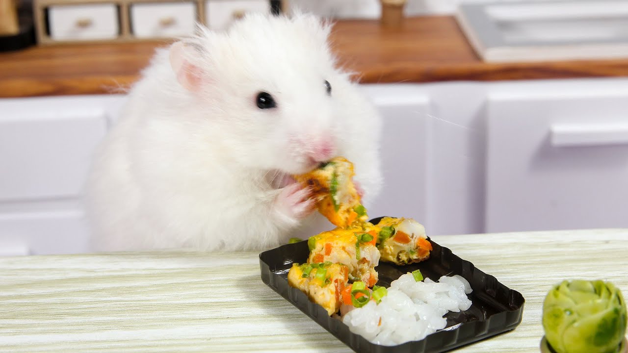 Fried Hamsters