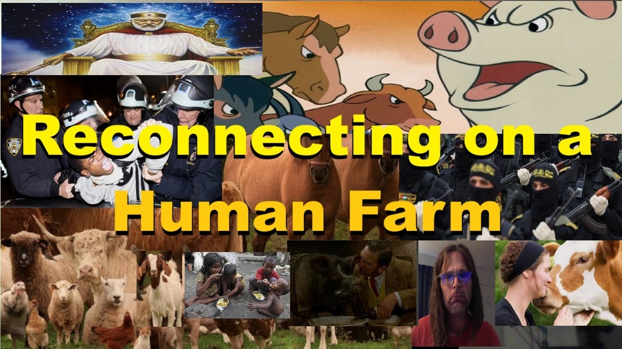 Reconnecting on a Human Farm - YouTube
