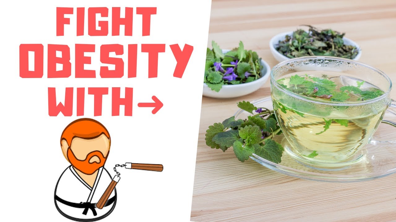 Proven Tips To Fight Obesity - YouTube