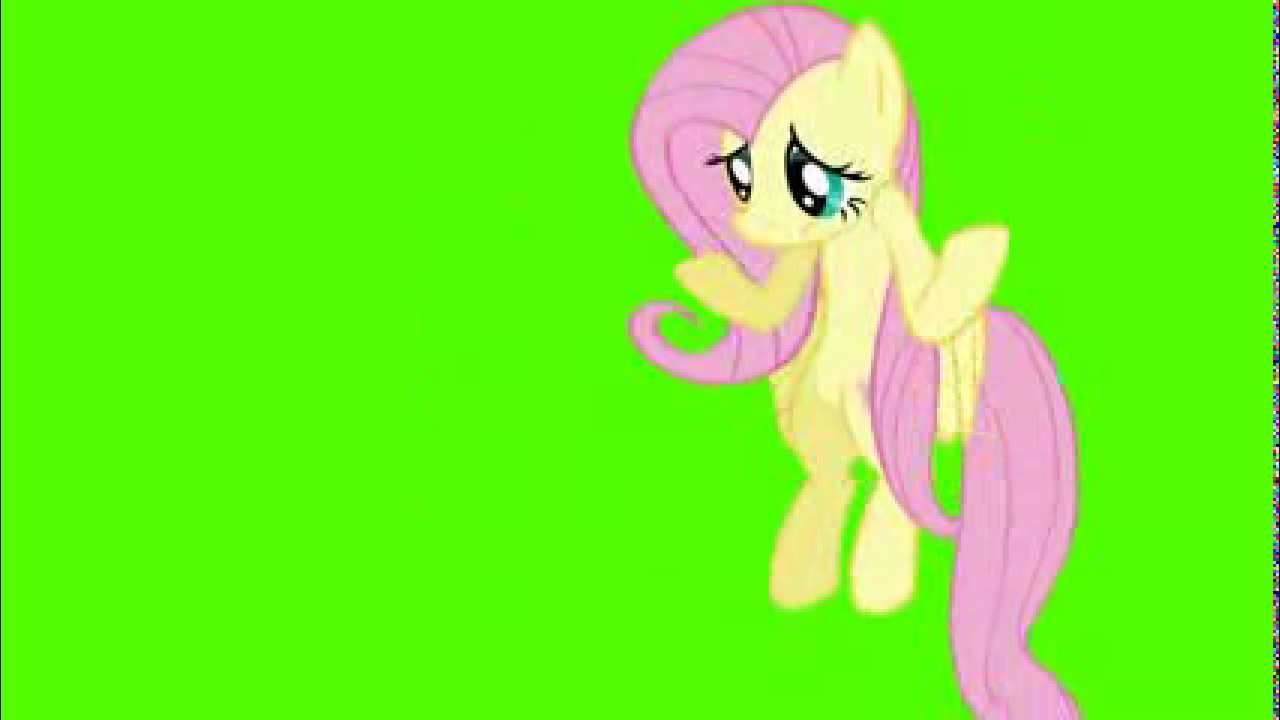 Fluttershy: "She's not here." *Shrug* - Green Screen Ponies - YouTube