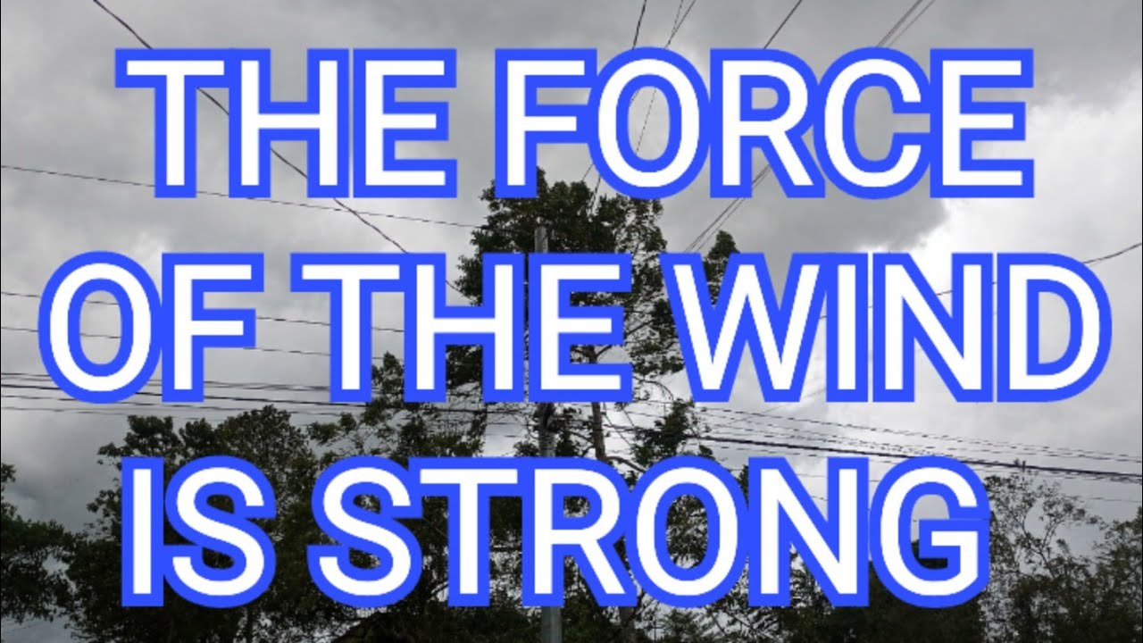 THE FORCE OF THE WIND IS STRONG 🌬️ 🌬️ 🌬️ #TRENDING #WIND #VIRAL - YouTube