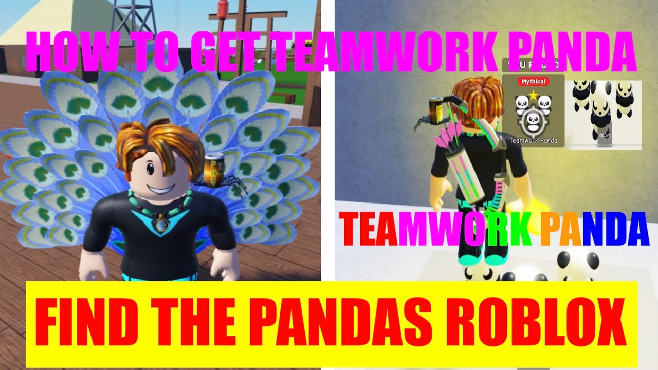 HOW TO GET THE TEAMWORK PANDA IN FIND THE PANDAS ROBLOX - YouTube