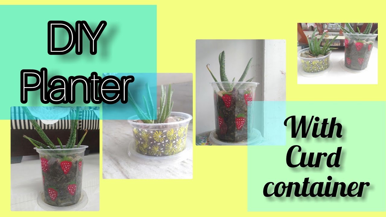 DIY Planter//Reusing curd container//easy DIY//🎨 ️ - YouTube
