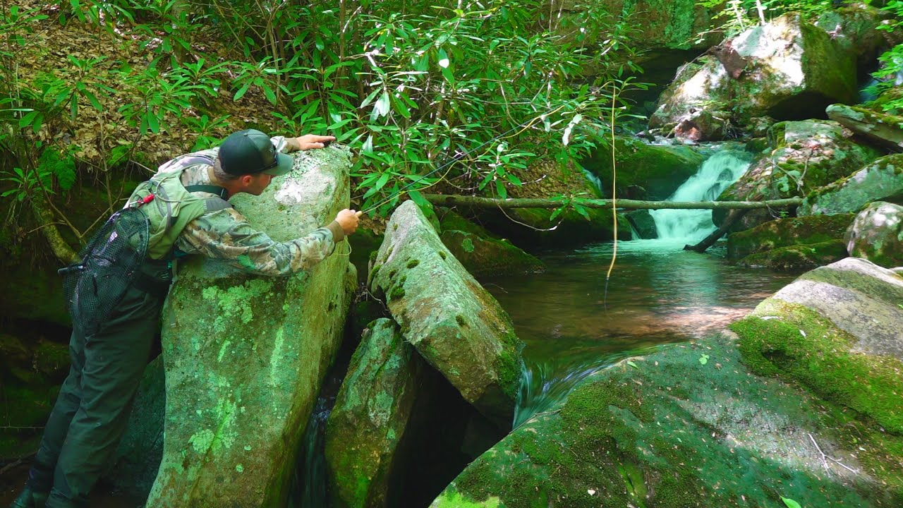 Fishing Steep Plunge Pools for BROOK TROUT - YouTube