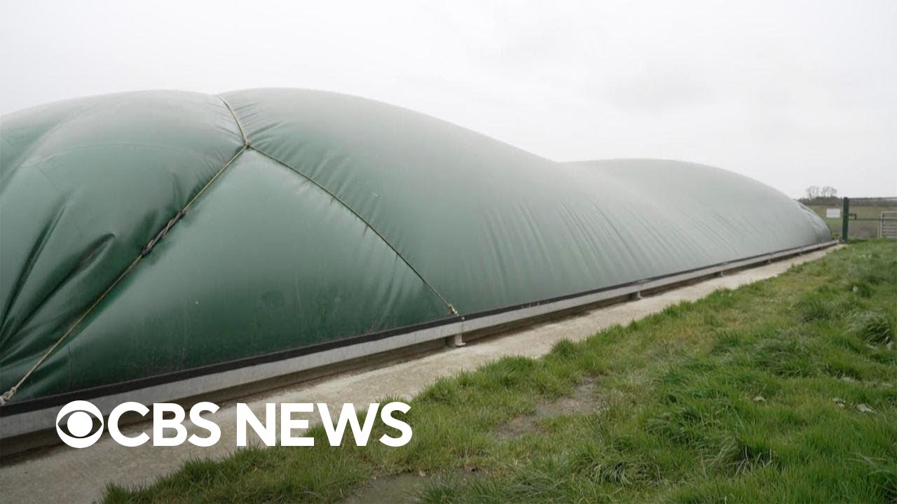 How a new process can turn cow waste into usable gas - YouTube