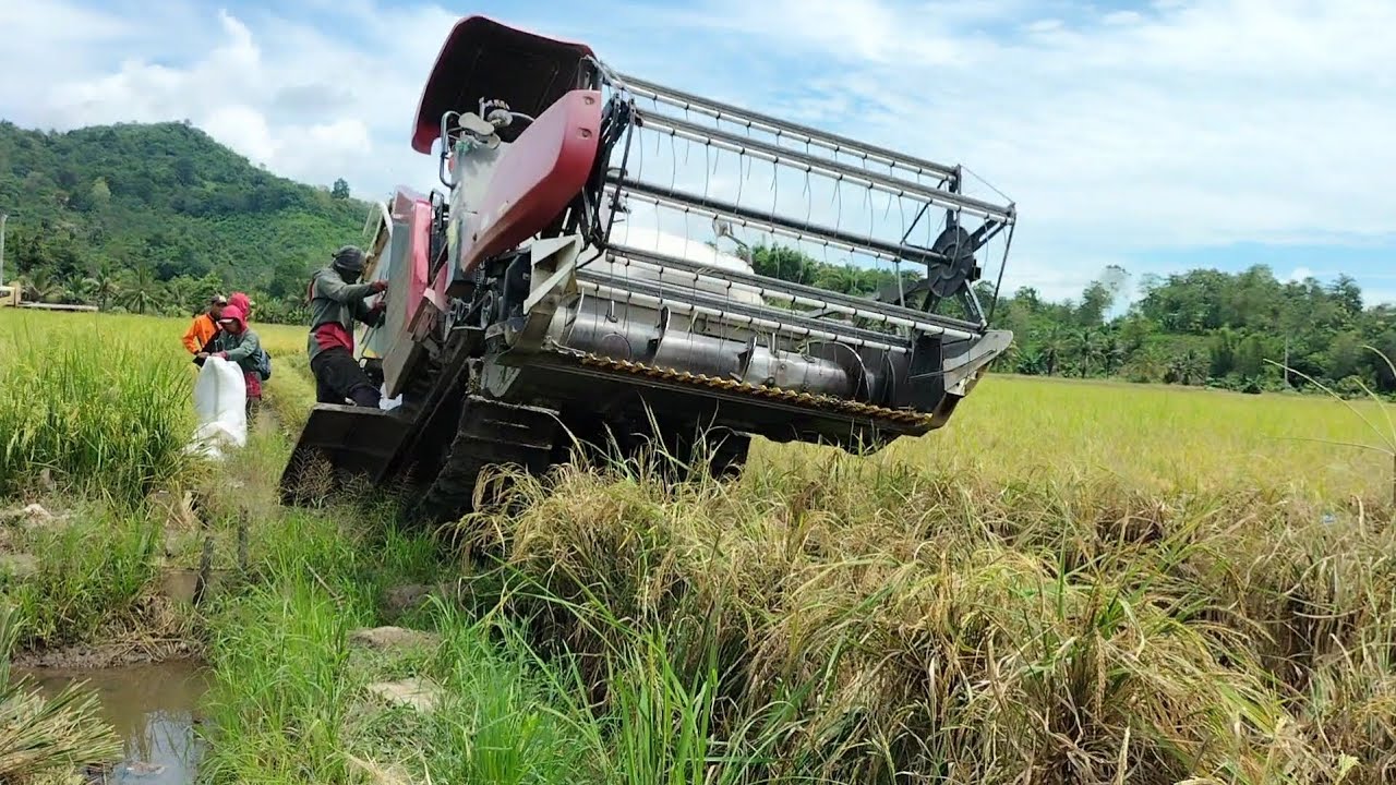combine padi yanmar yh850 full HD - YouTube