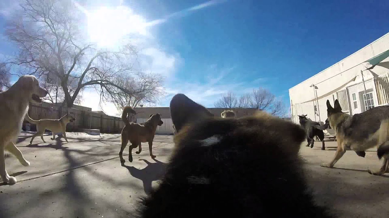 Oscars wild ride. - YouTube