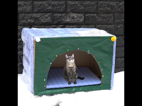Kedi Evi Yapımı