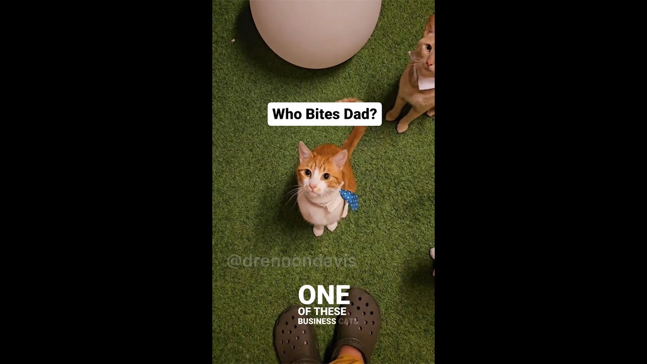 Who Bites Dad? - YouTube