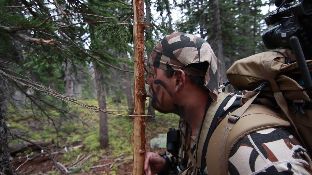 COLORADO BACKCOUNTRY ARCHERY ELK HUNT - DAY 1 - YouTube