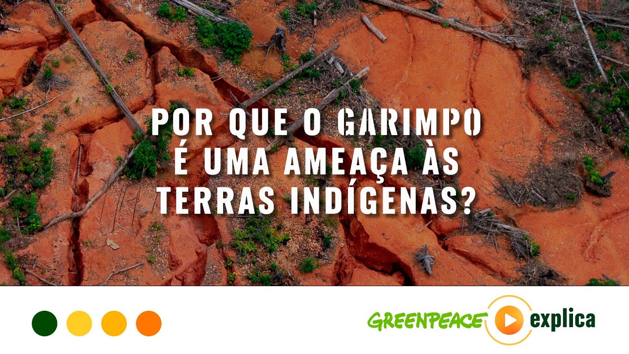 Por que o GARIMPO é uma AMEAÇA às Terras indígenas? - Greenpeace ...