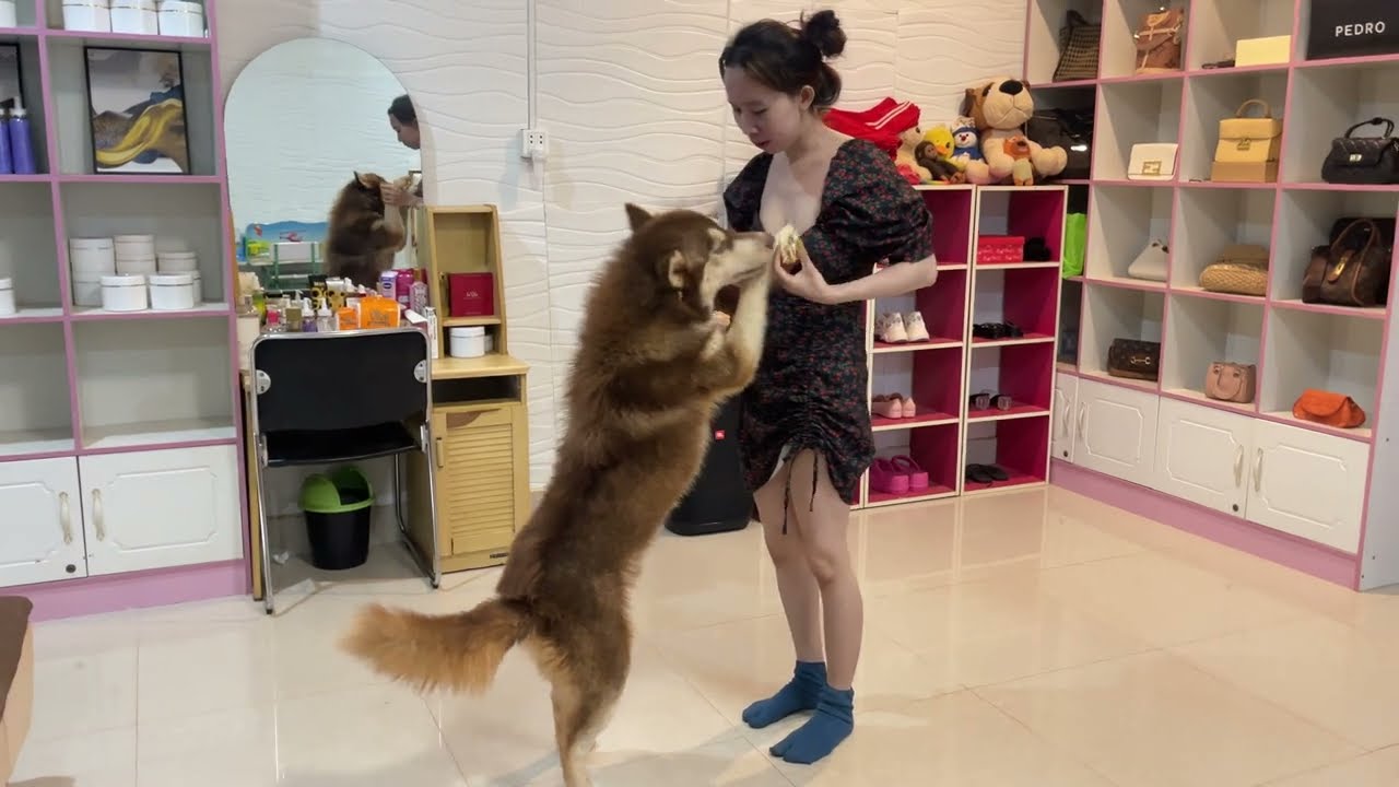 OMG! Why TOTO look not happy and kwan fine way to help - YouTube