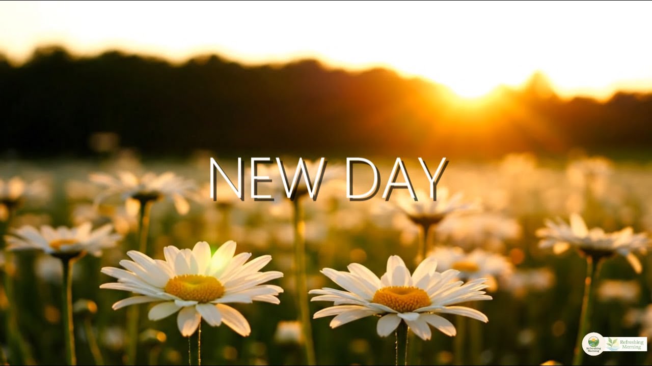 🌄 new day awakening – calm piano & guitar with blooming flowers ...