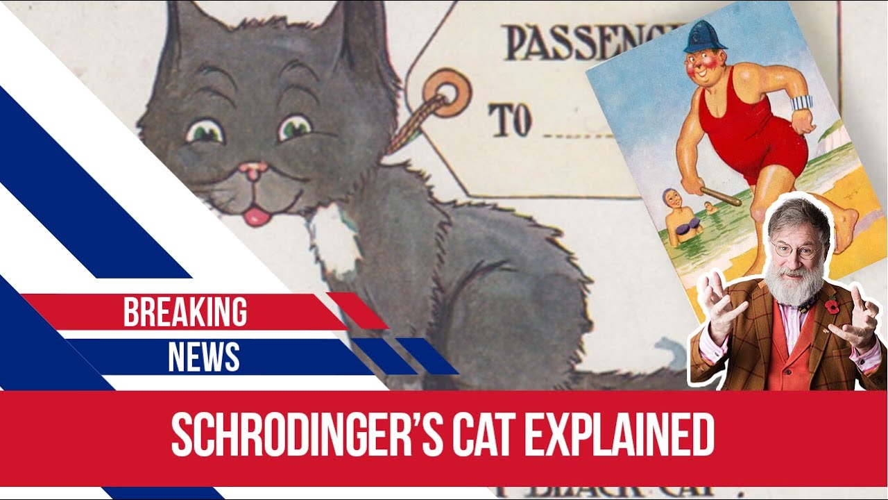Schrodinger explained and more mrs slocombe - YouTube