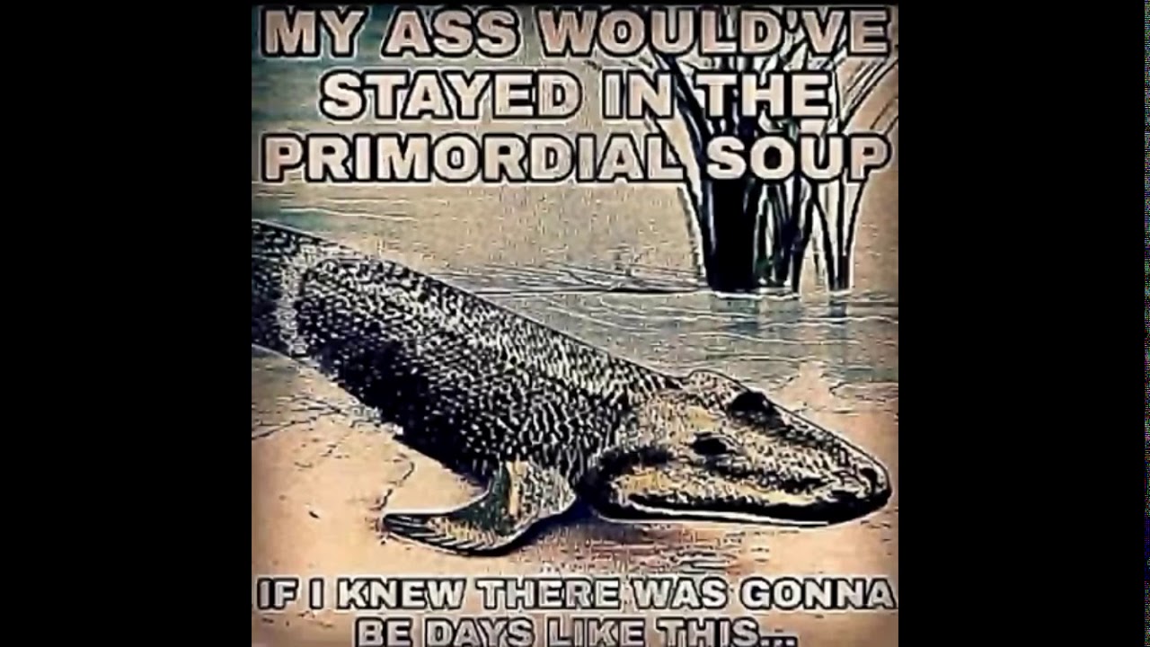 Primordial Soup Meme - YouTube