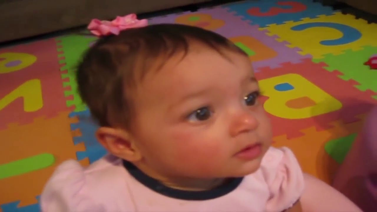 AFV Season 25 Episode 22 Show Highlights1 - YouTube