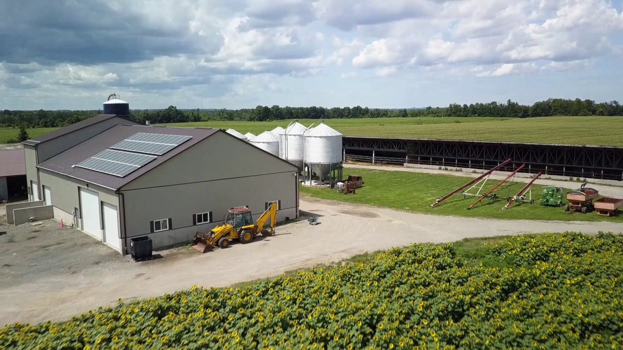 Edward's Farm - YouTube