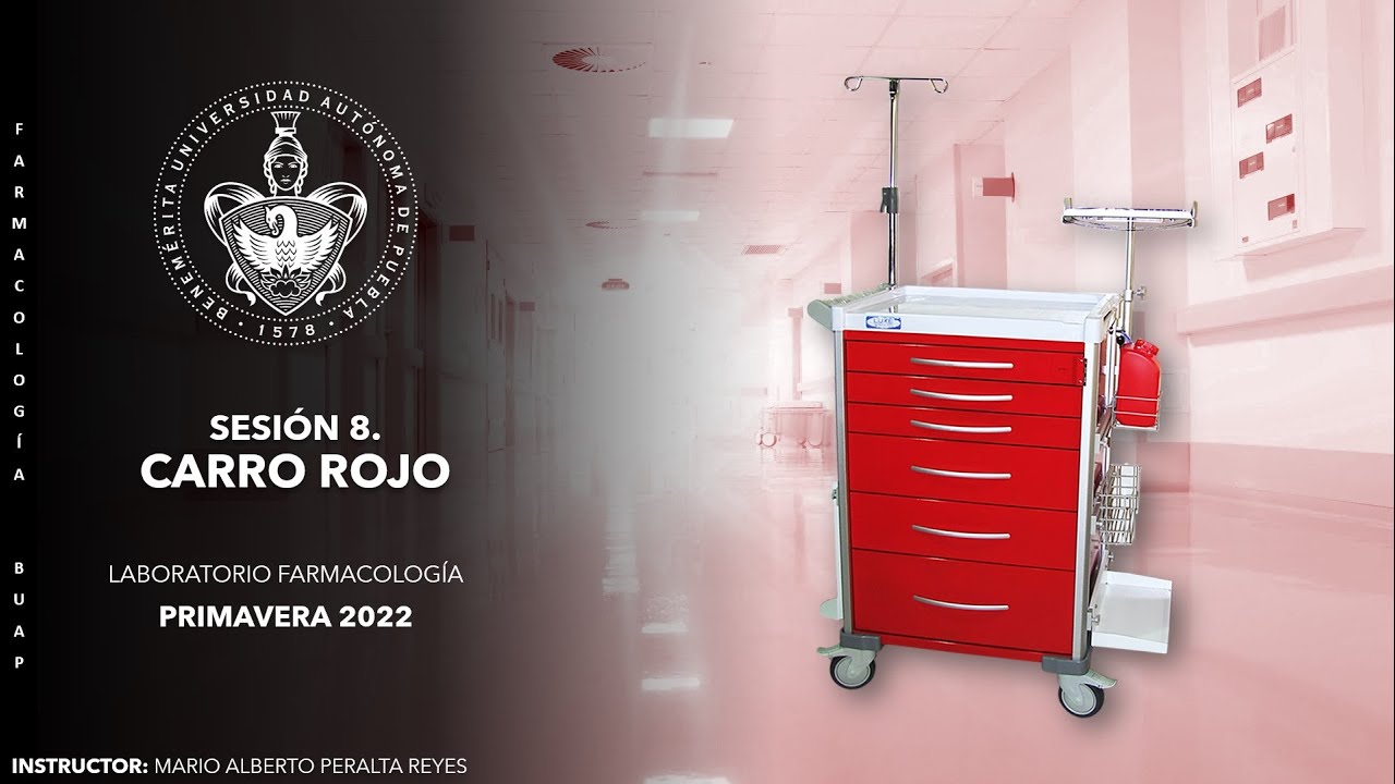 CARRO ROJO | ¿Qué es? ¿Cuál es su origen? | Tipos de Carro Rojo | Carro ... CARRO ROJO | ¿Qué es? ¿Cuál es su origen? | Tipos de Carro Rojo | Carro ...