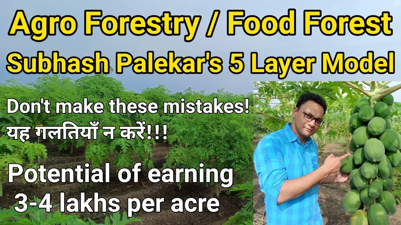 Agro Forestry | Subhash Palekar Natural Farming | Multilayer Farming ...