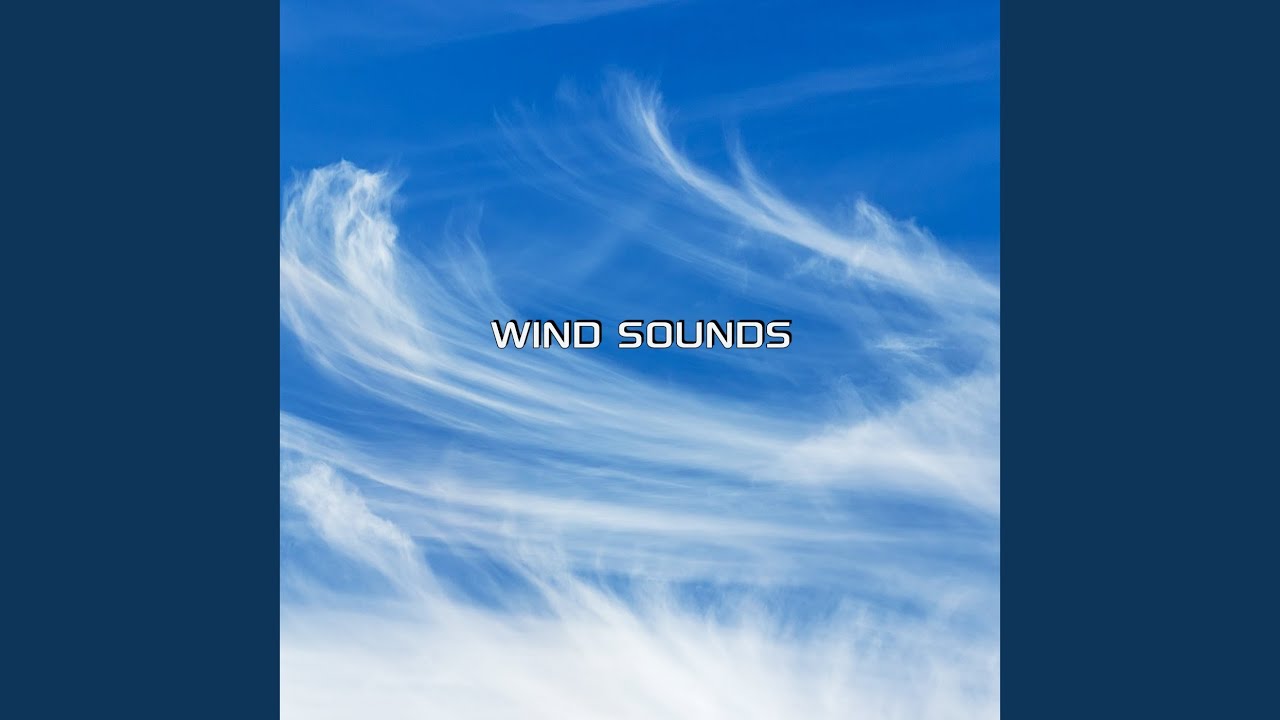 Wind Nature Sounds - YouTube