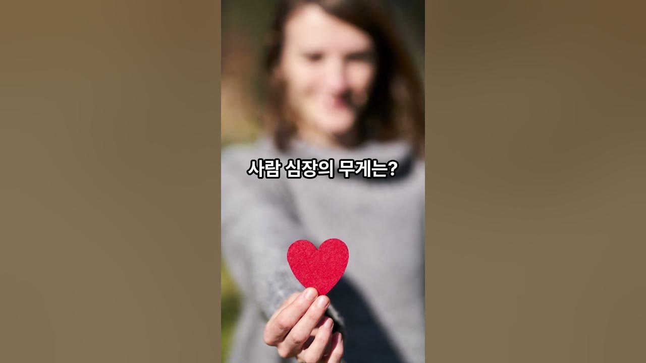 넌센스퀴즈 31탄 Youtube
