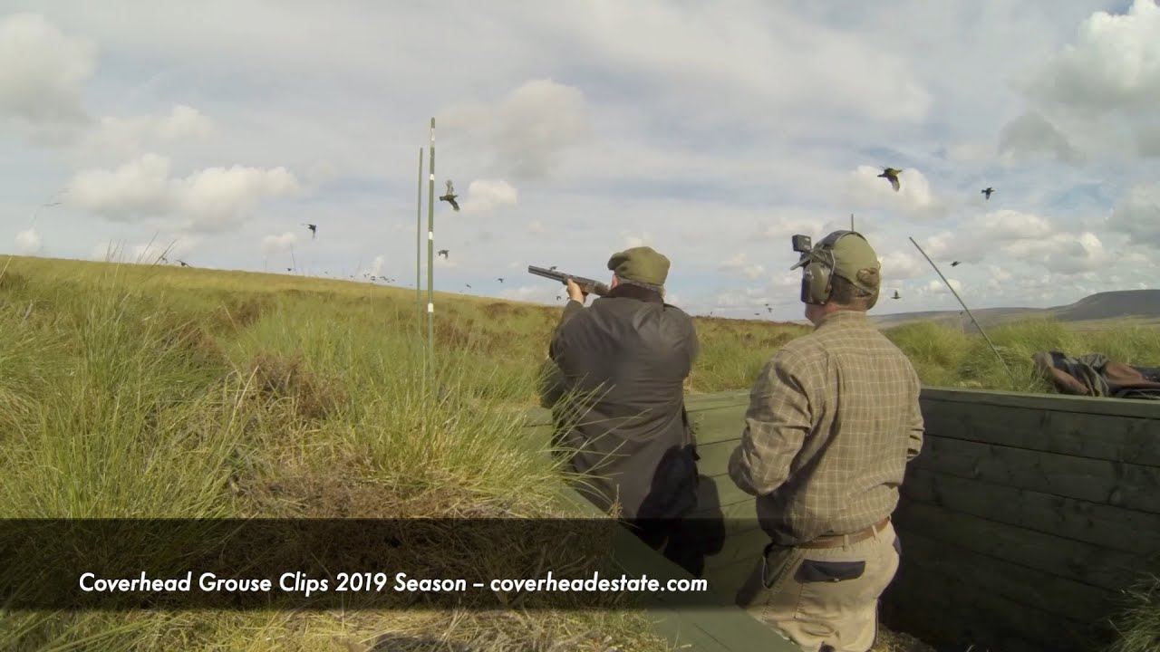 Coverhead Driven Grouse Shooting Action 2019 - YouTube