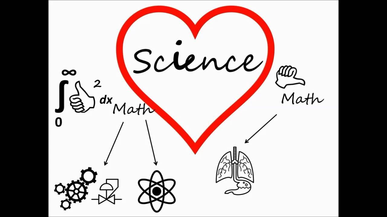 Math meets Biology in the Square-Cube Law - YouTube
