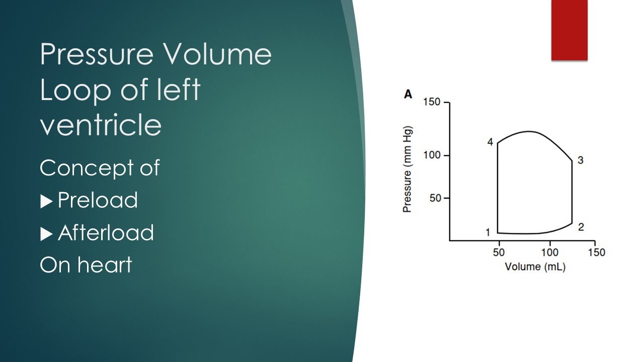 Pressure Volume Loop of Left Ventricle of Heart - YouTube