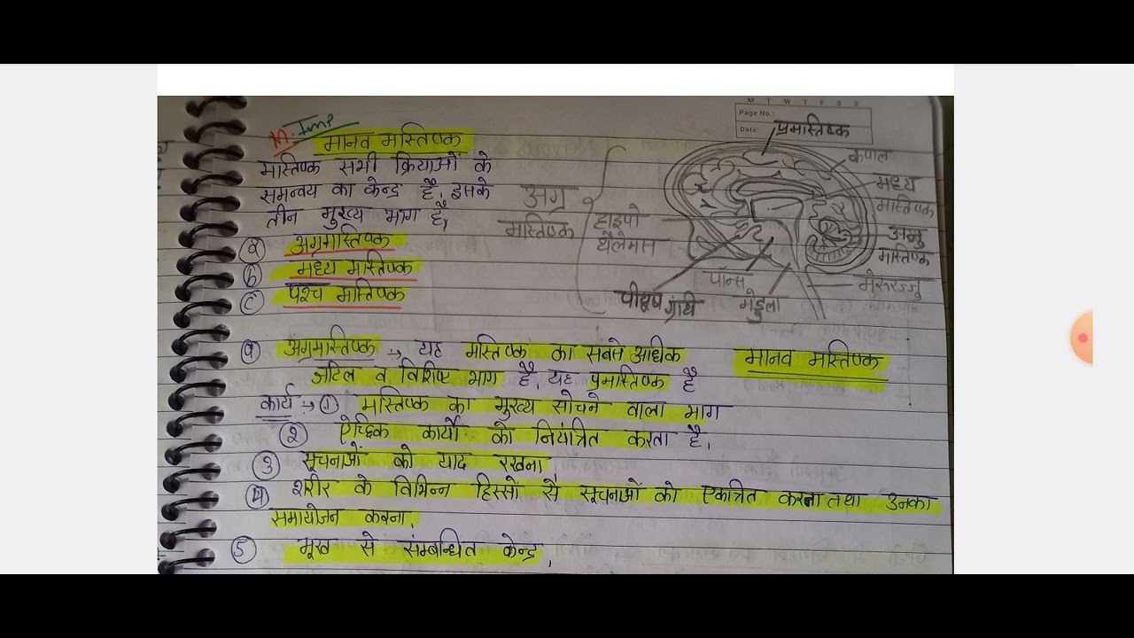 10th class Science NCERT Chapter 7 #NCERTScience10 #chapter7science ...