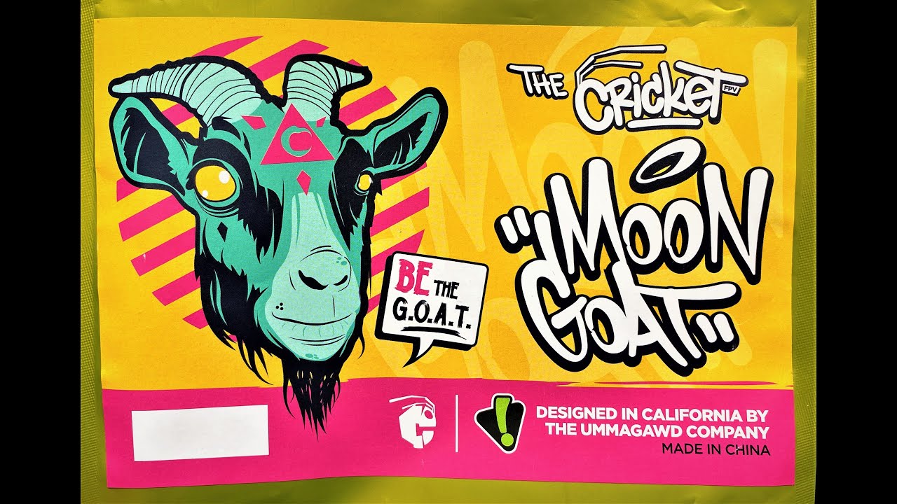 Building the Moon Goat! FPV Drone Build Video! Cricket's New Frame with ...