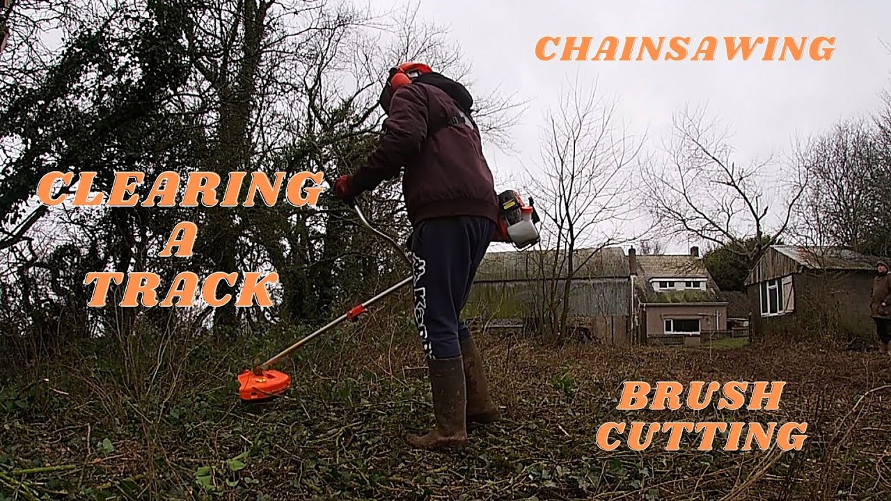 CLEARING A NEW TRACK TO THE BARN! - YouTube