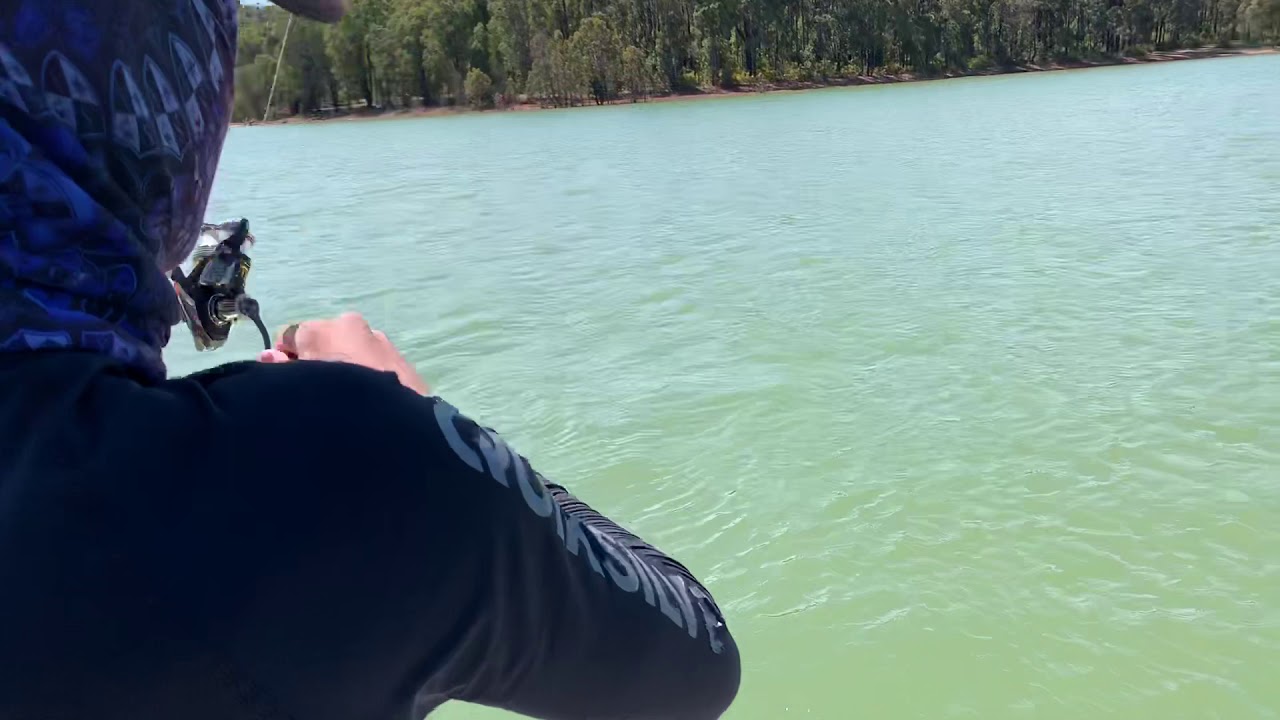 Red Fin Perch Fishing Perth - YouTube