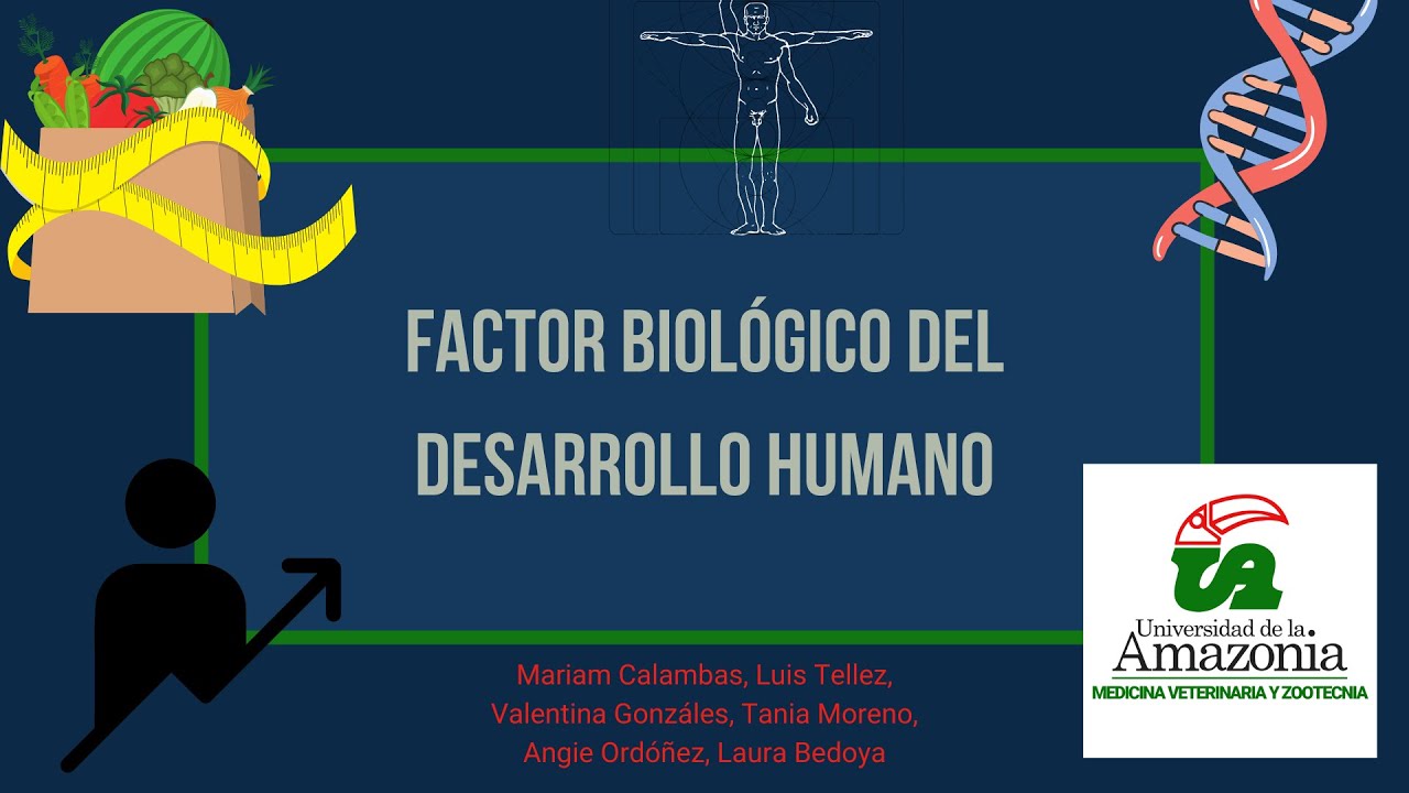 FACTOR BIOLÓGICO DEL DESARROLLO HUMANO - YouTube