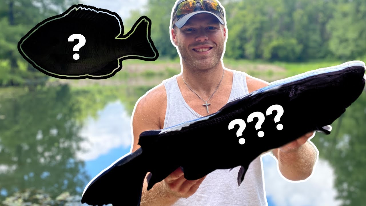 BIG UNEXPECTED CATCH | Eating the First Fish I Catch - YouTube