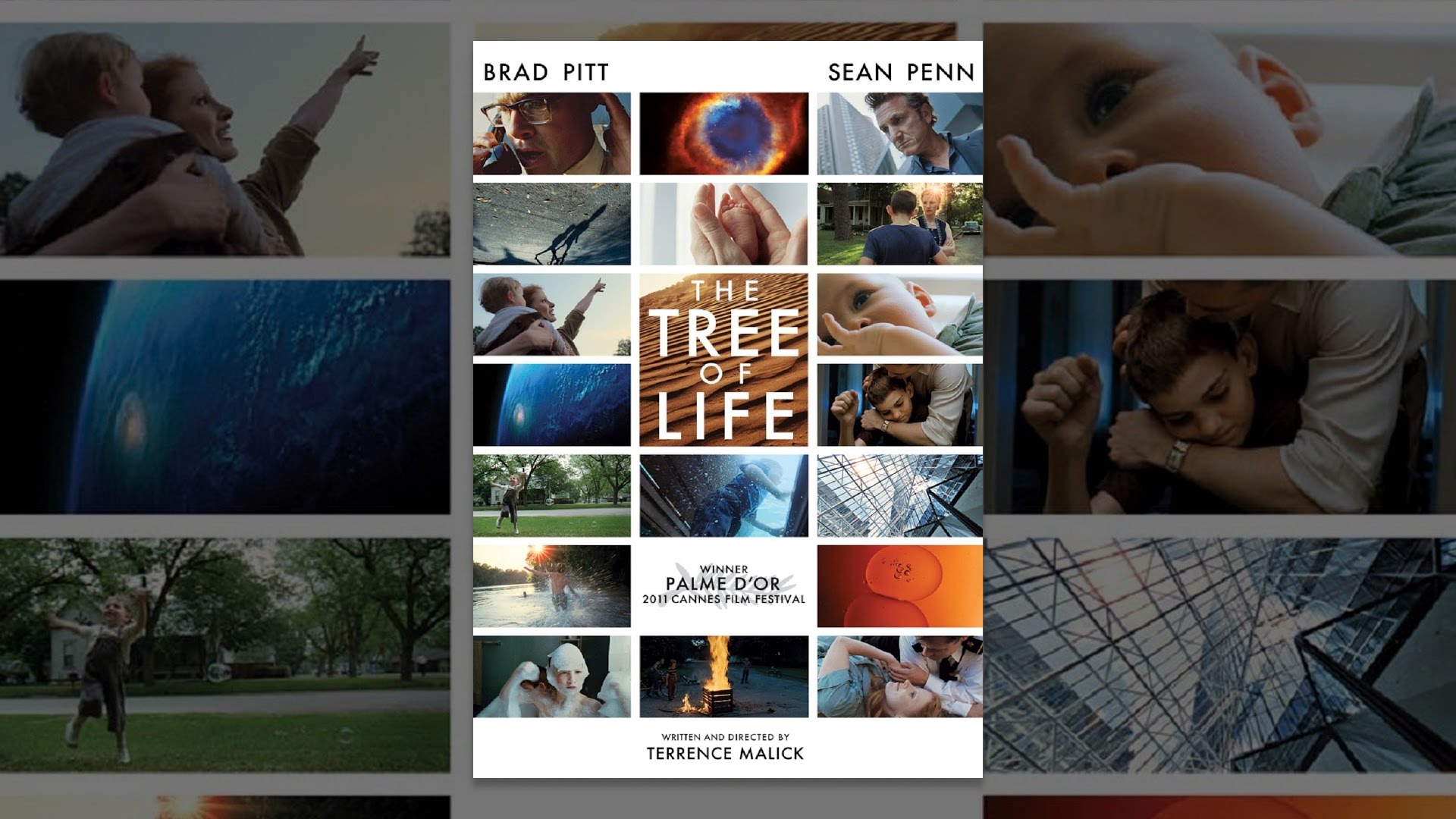 The Tree of Life - YouTube