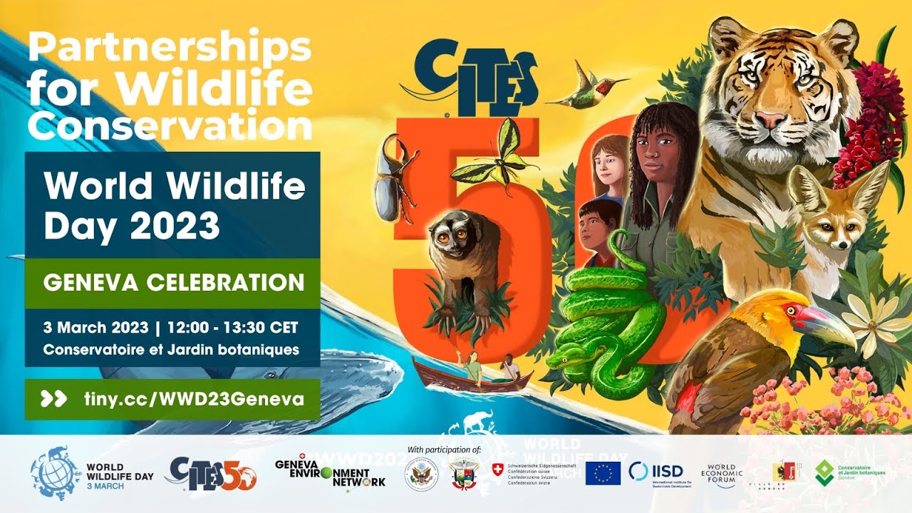 World Wildlife Day Celebration | 50 Years of Partnerships for Wildlife ...