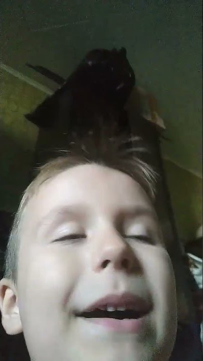груша Youtube