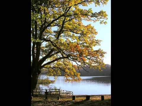 Mustafa Yakar- Belki de Ahirette- Şiirli