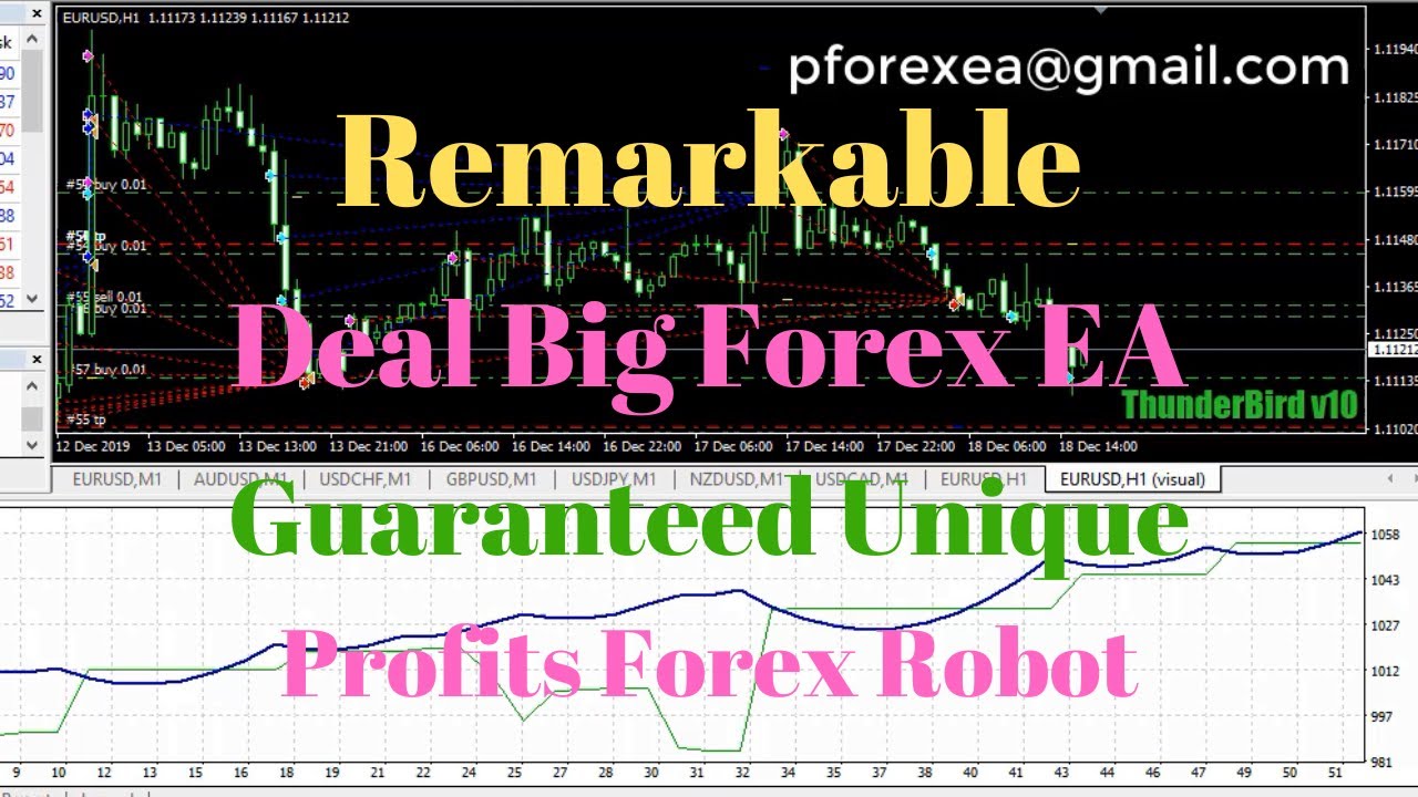 Remarkable Forex EA Robot | Deal Big Forex Robot EA | Guaranteed Unique Forex EA - YouTube