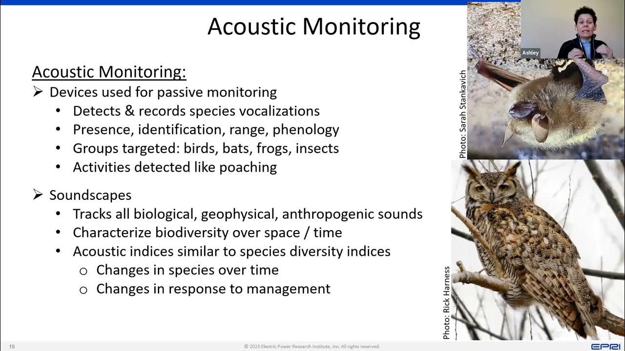 Research Roundtable: Advanced Monitoring Techniques for Habitat ...