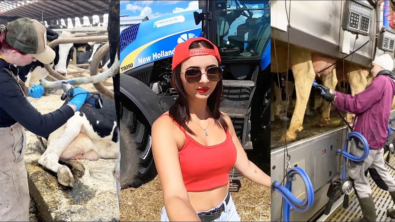 Farm Girls on the Largest Farm in the USA | Modern Farm - Compilation 4 ...