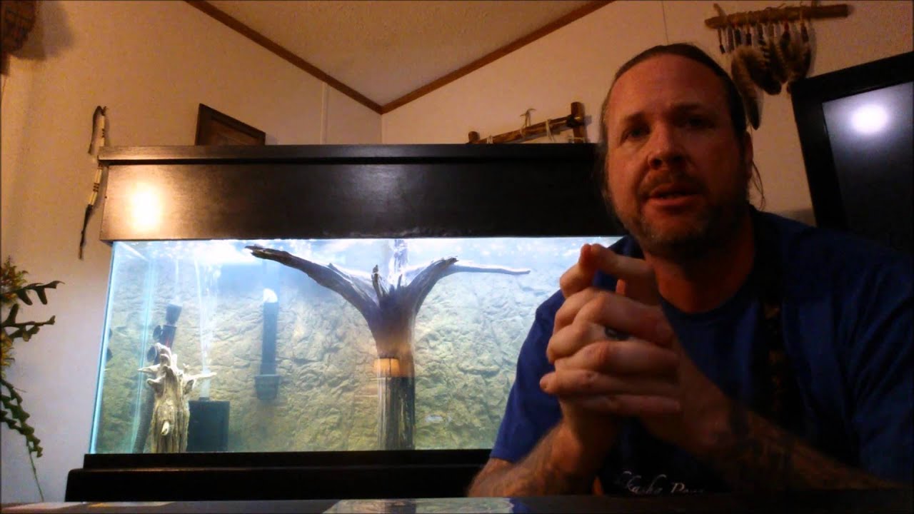 Cycle an aquarium in 2 weeks with Seachem Stability - YouTube