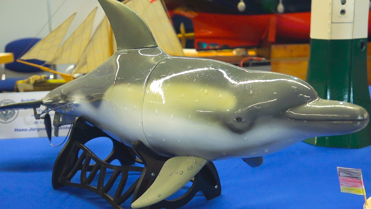 INCREDIBLE RC DOLPHIN ACTION!! / Fair Erfurt Germany 2017 - YouTube