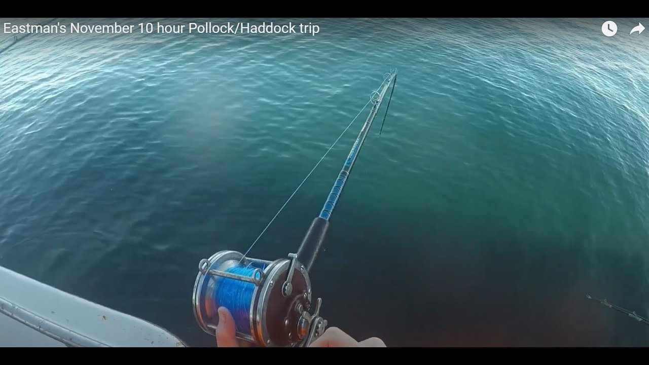 Eastman's November 10 hour Pollock/Haddock trip - YouTube