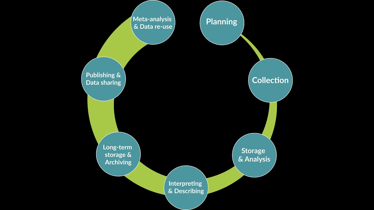 The Research Data Life Cycle YouTube the-research-data-life-cycle-youtube