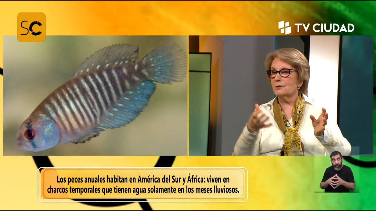 "Los peces que vienen de las nubes": gran ámbito de investigación ...