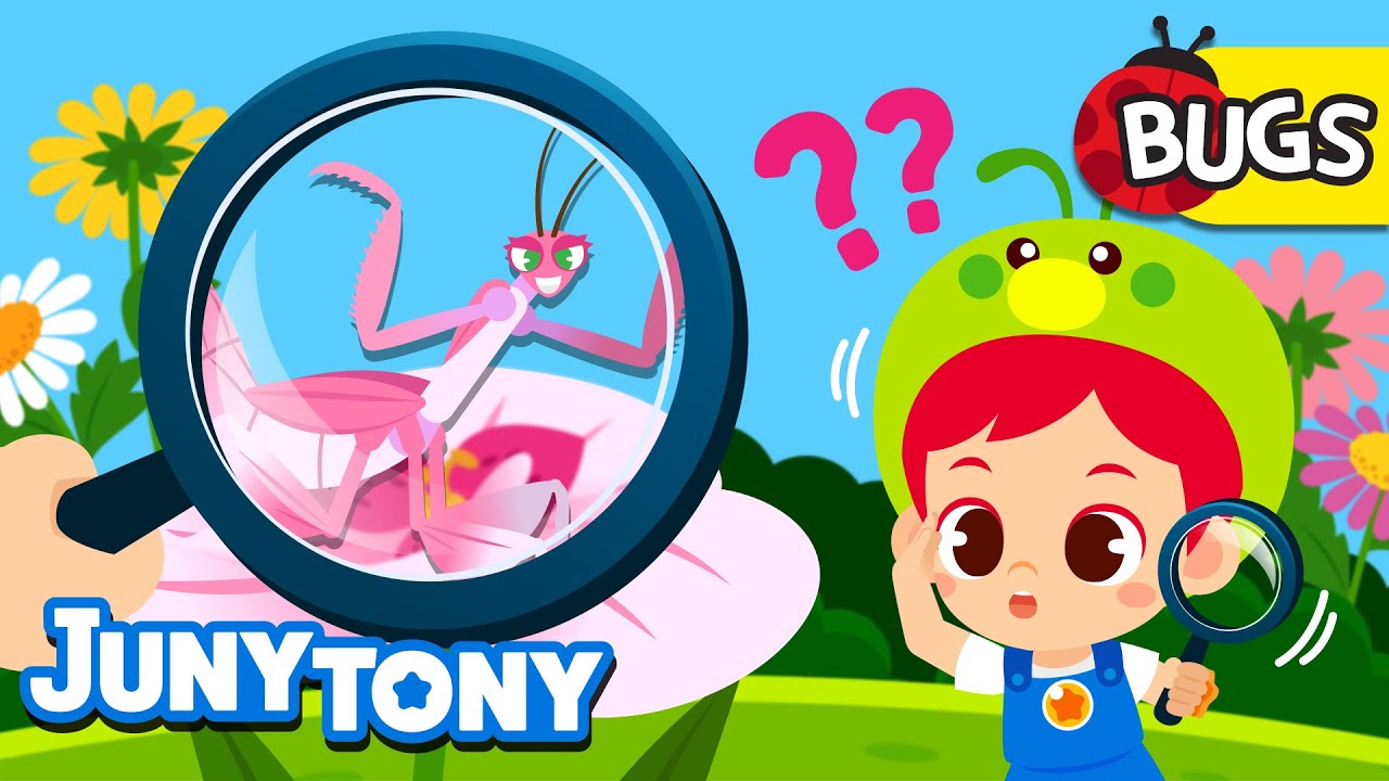 Insect Camouflage | Can you see me? | Cutie-crawlies! Insect Songs for ...