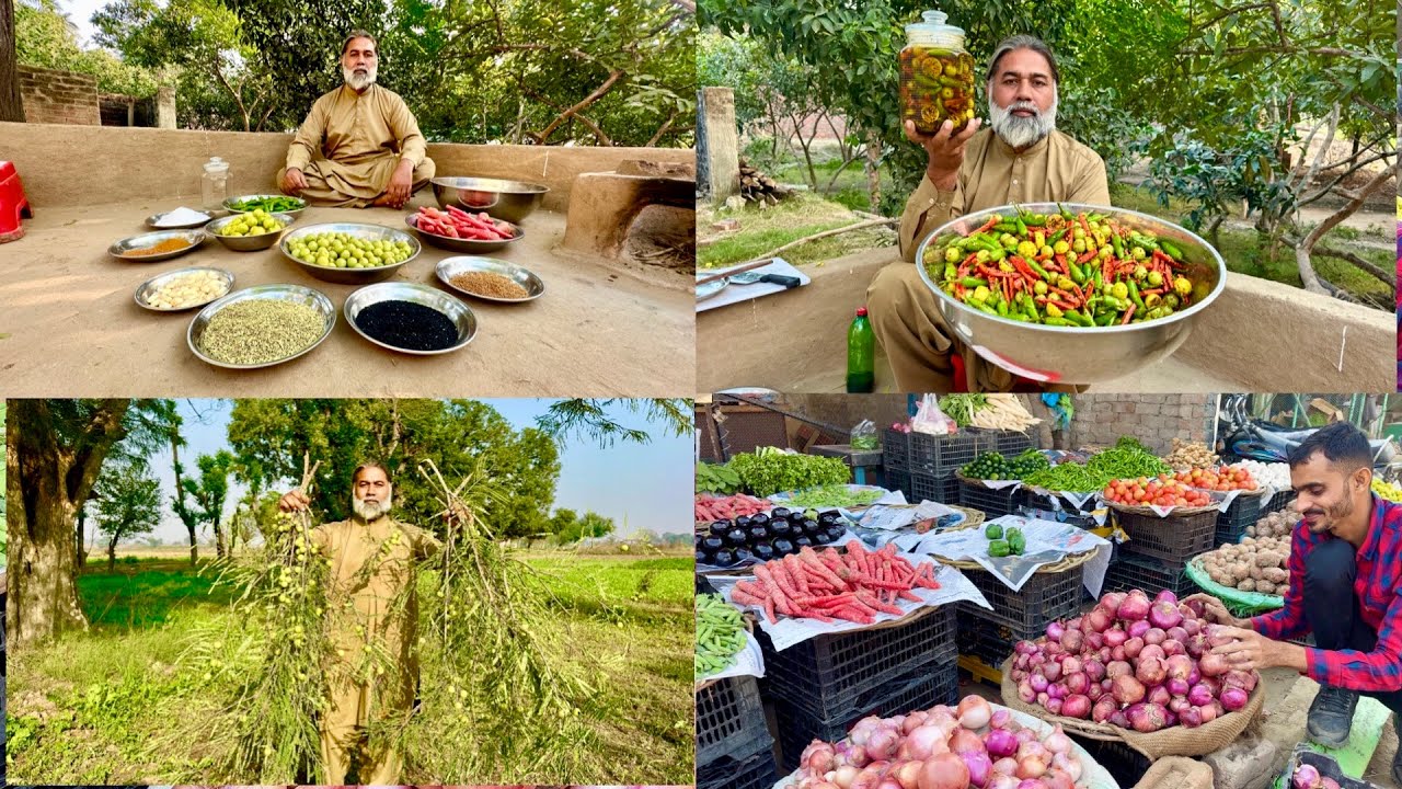 Pickle Recipe, achar Recipe, Mixed Vegetables Pickle,Winter Special ...