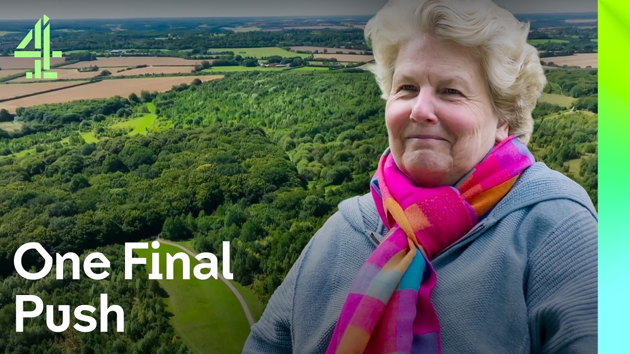 Sandi Reflects As The Woodland Project Comes To A Close | Sandi's Great ...